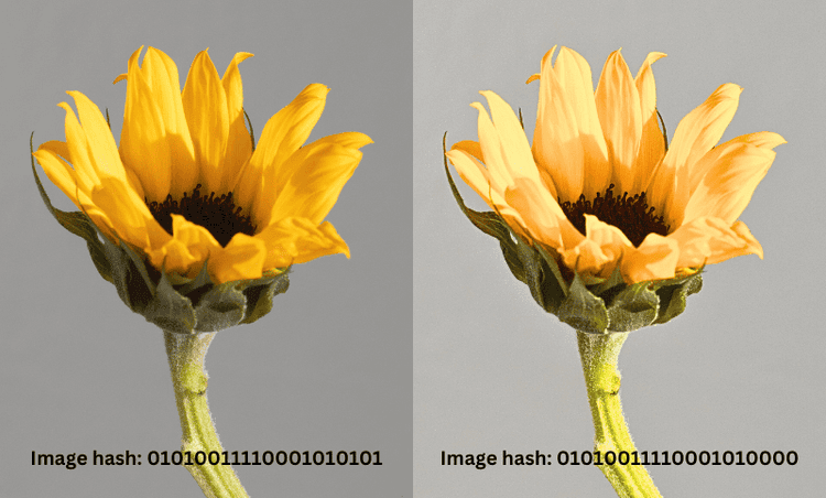 6 Essential Image Moderation Techniques for Online Platforms | Lasso